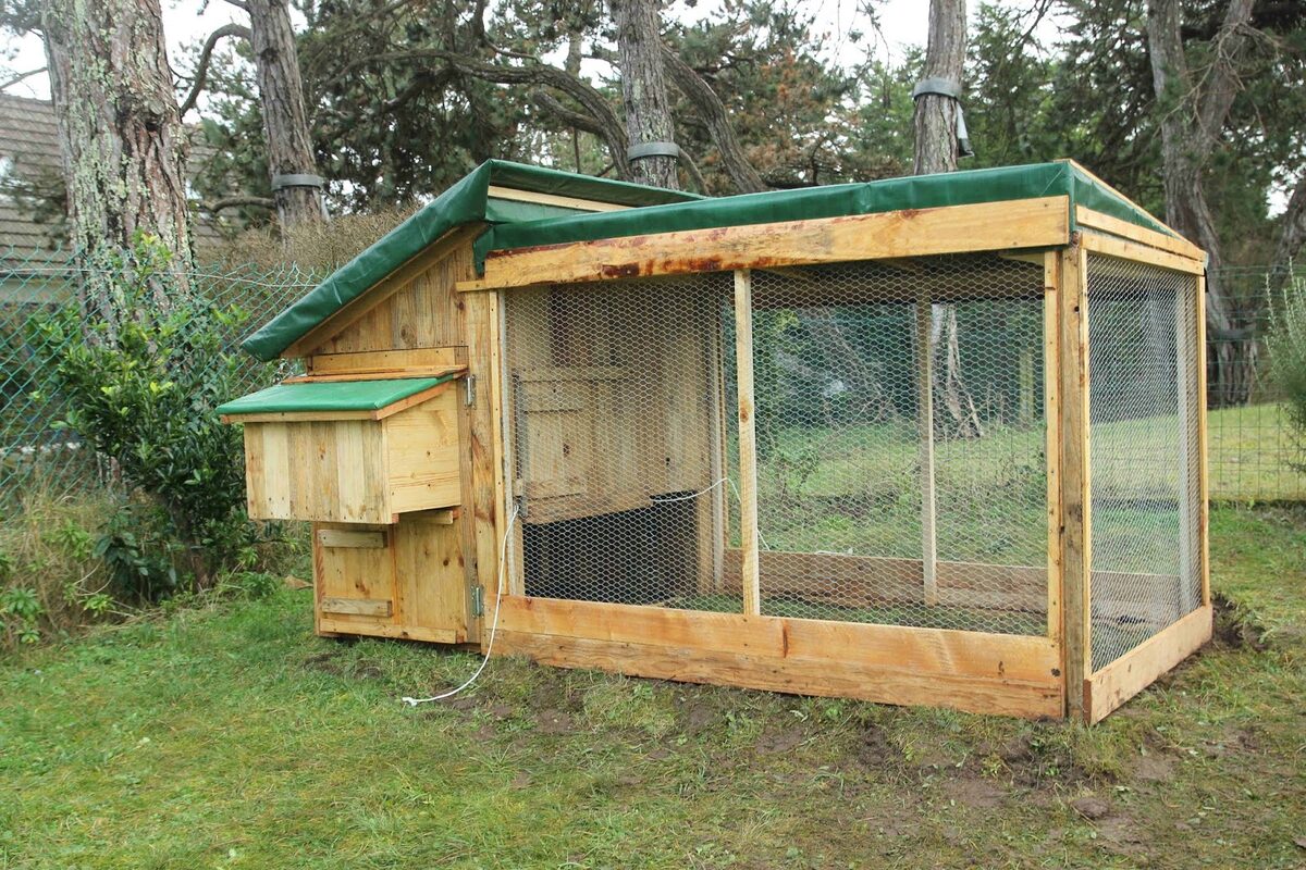 Comment construire un poulailler avec des palette